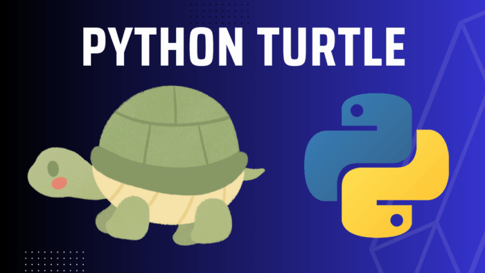 What is the Turtle Python Library | Applications | Advantages ...